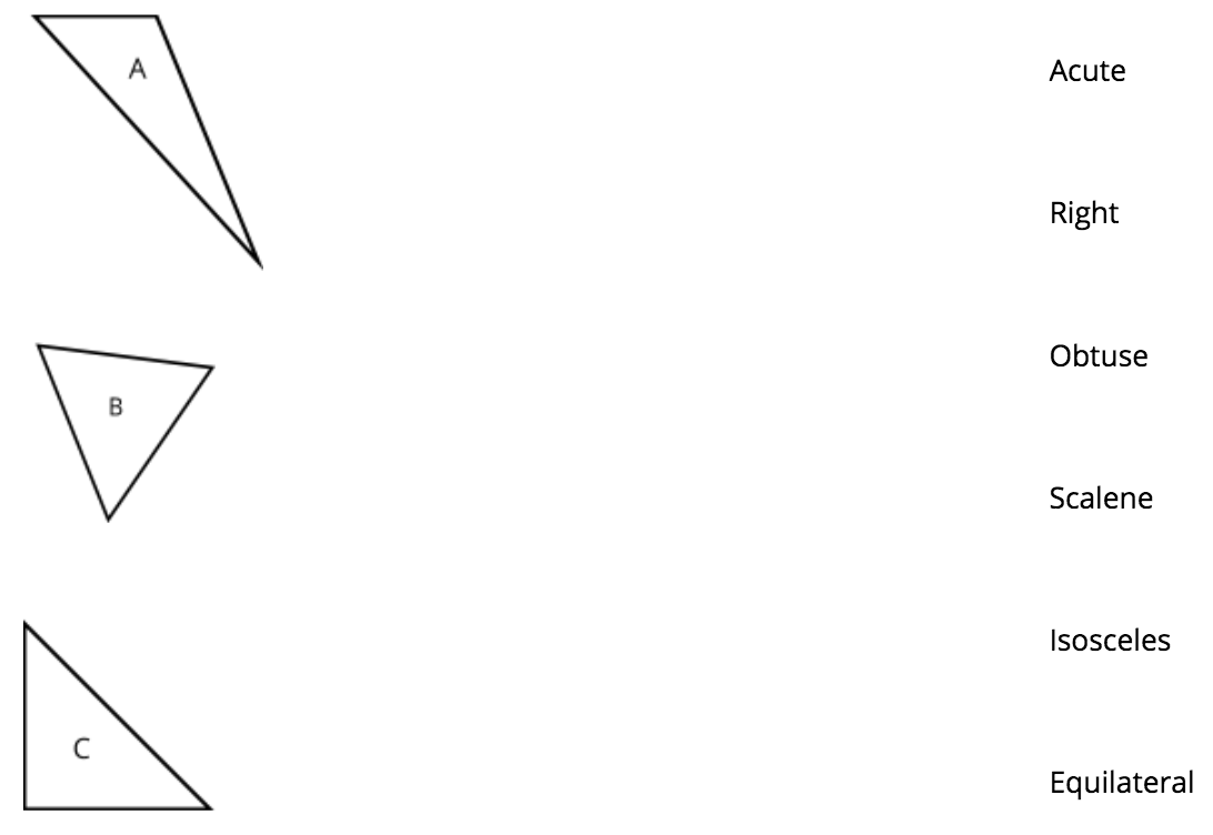 Lesson 14 | Shapes and Angles | 4th Grade Mathematics | Free Lesson Plan